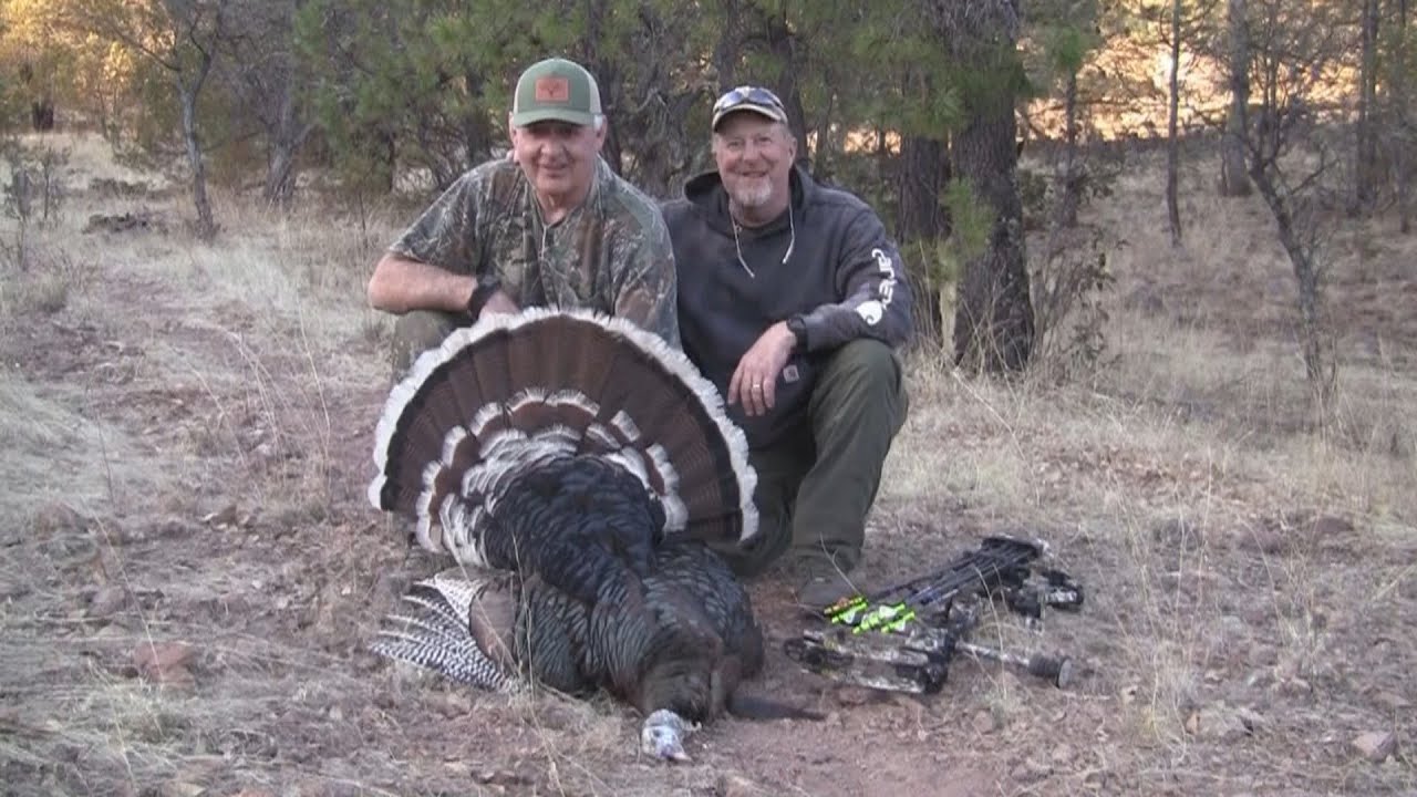 Bob Zaborowski Goulds Turkey Bow hunt as told by himself - YouTube