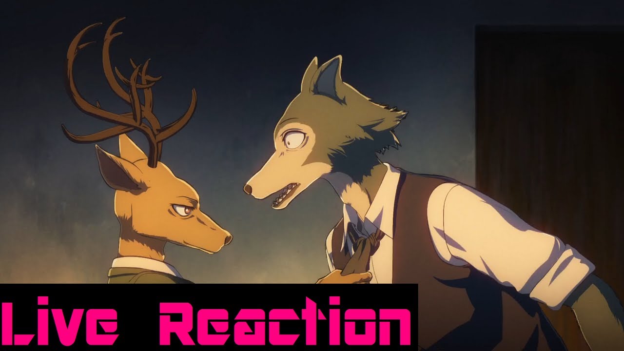 Beastars Episode 1 Live Reaction & First Impressions - YouTube