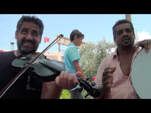 Bahti -Dut Ağacı