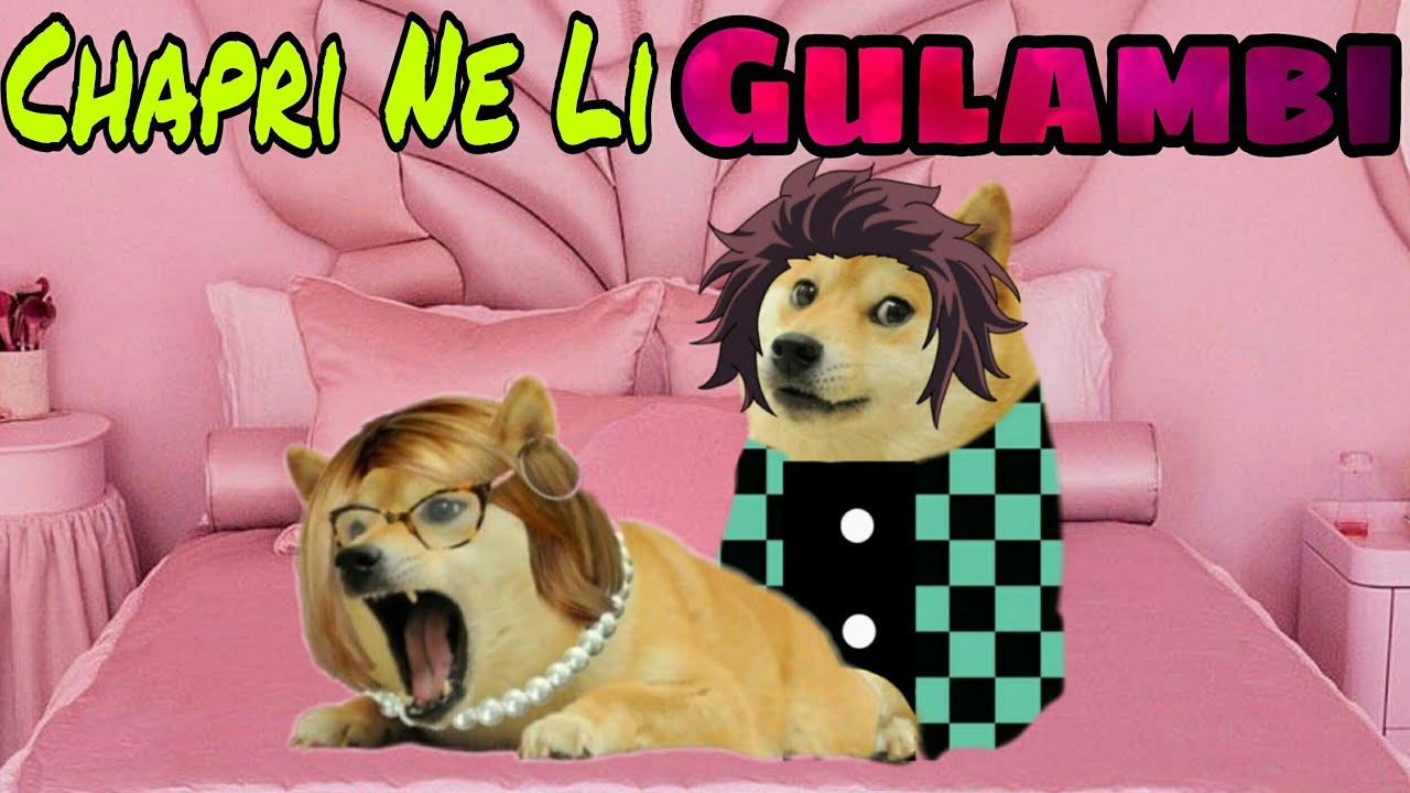 Vimdhayak ji ka Gulambi Ke liye lafda 😂😂 ft dogesh and selmon bhoi ...