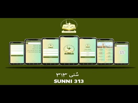 Sunni 313 app brief introduction