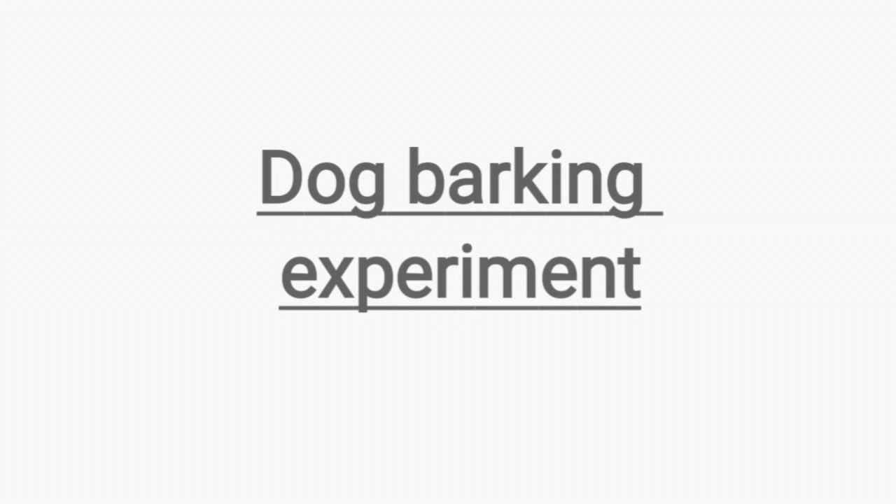 Make your DOG go CRAZY (BARKING SOUNDS) - YouTube