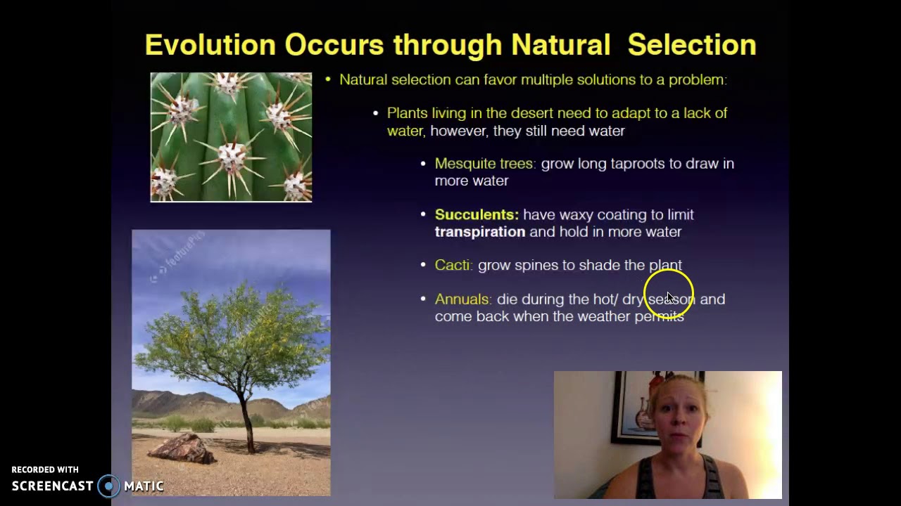 Module 15 Lecture (Part 2) - YouTube