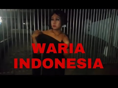 Waria Indonesia