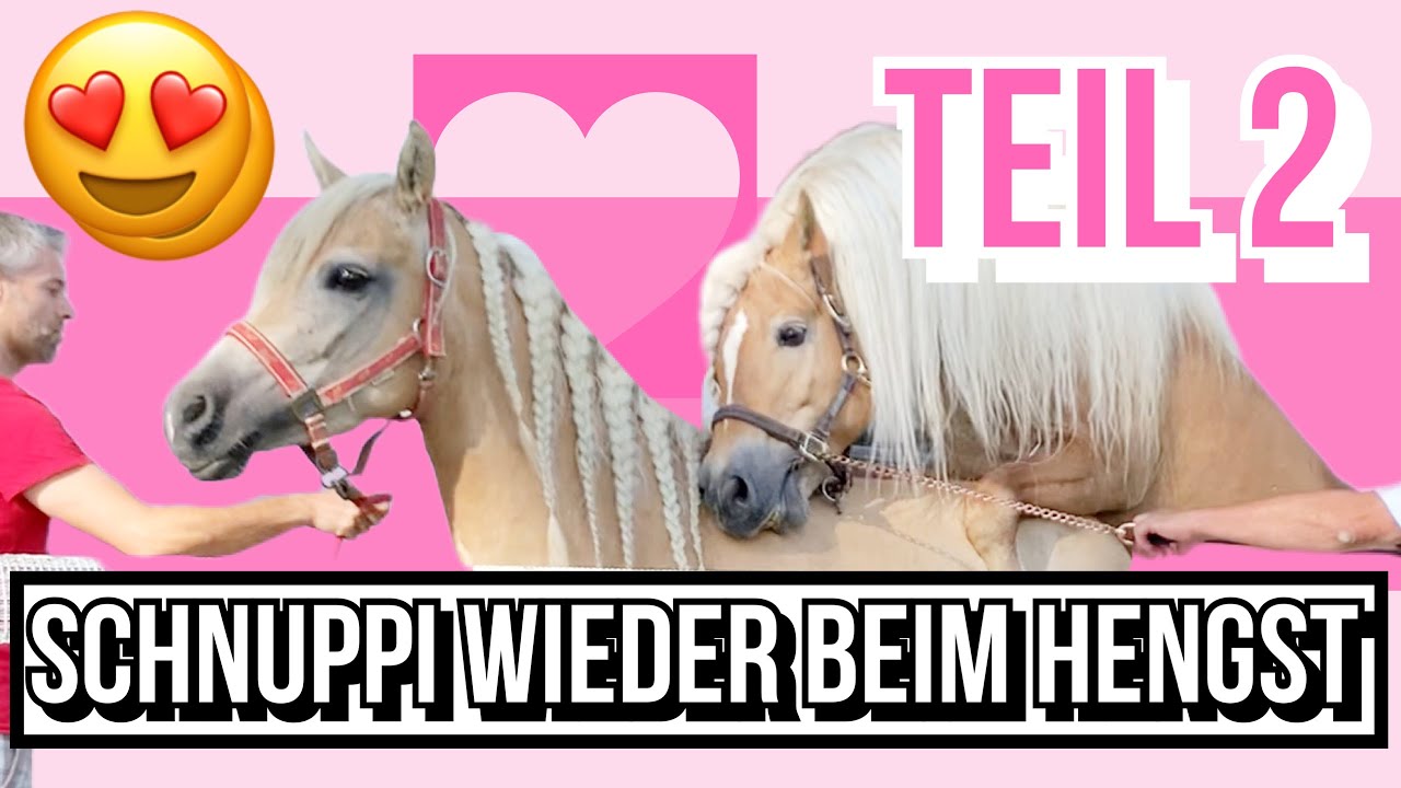 Schnuppi wieder beim Hengst | nimmt sie diesmal auf? - YouTube