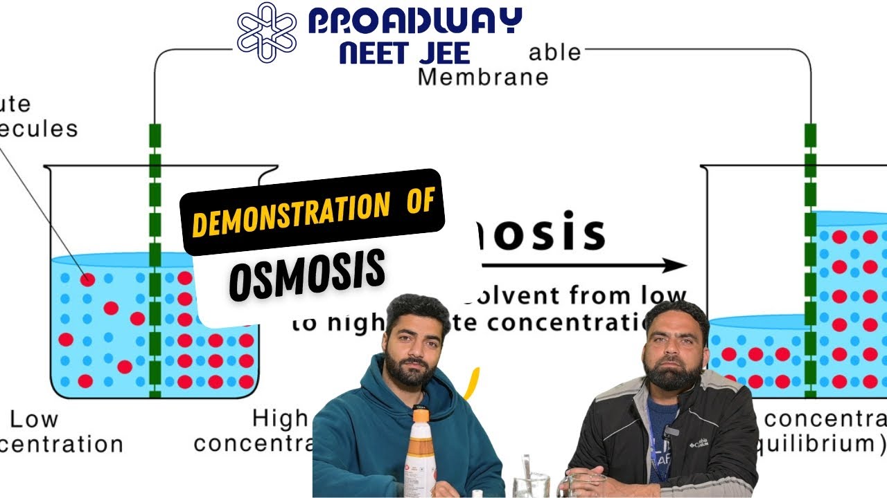 Demonstration of Osmosis - YouTube