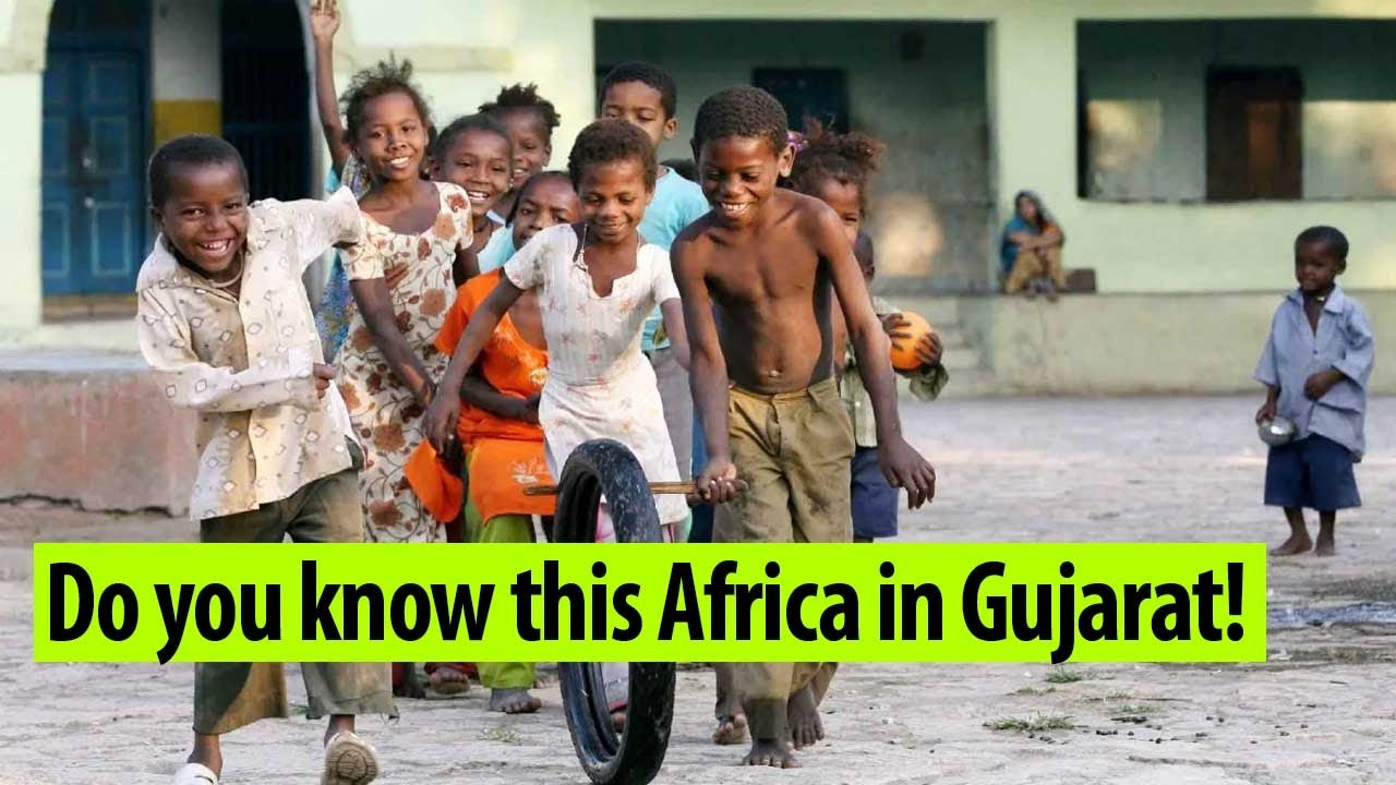 Know why Jambur is called the mini African Village of Gujarat! - YouTube