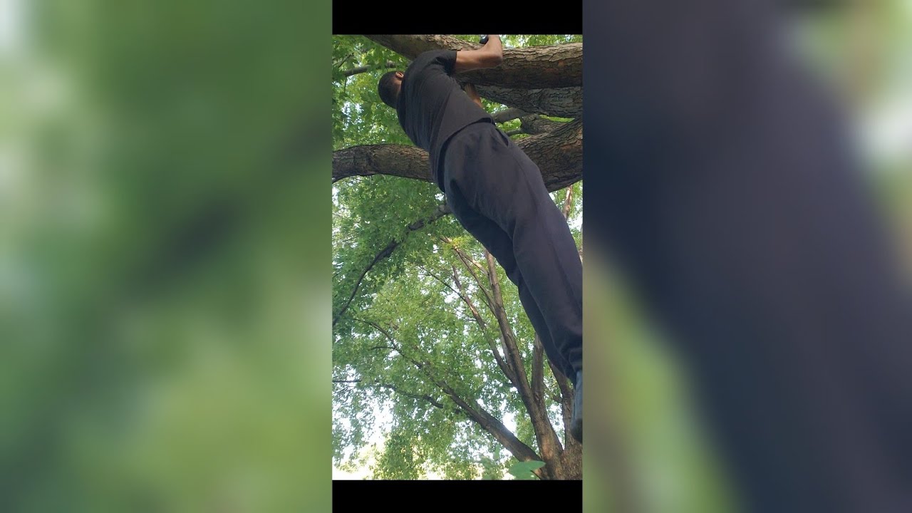Road To Front Lever: 40 Regular/Commando Pullups On Tree 🌳 - YouTube