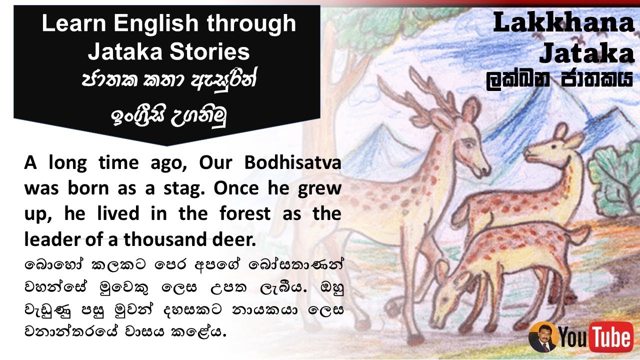 Learn English through a Jataka Story | Lakkhana Jataka | ජාතක කතාවක් ...