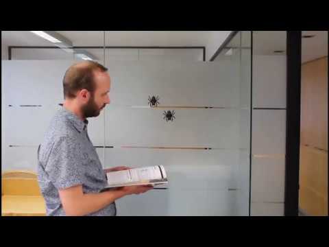 SY152WCS Sticky Window Walker Spider - YouTube