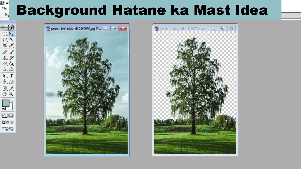 How to Remove Background on Tree | पेड़ पर पृष्ठभूमि कैसे हटाएँ - YouTube
