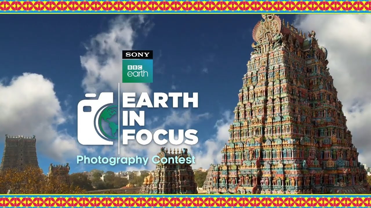 Capture the World with #EarthInFocus! Enter Sony BBC Earth's ...