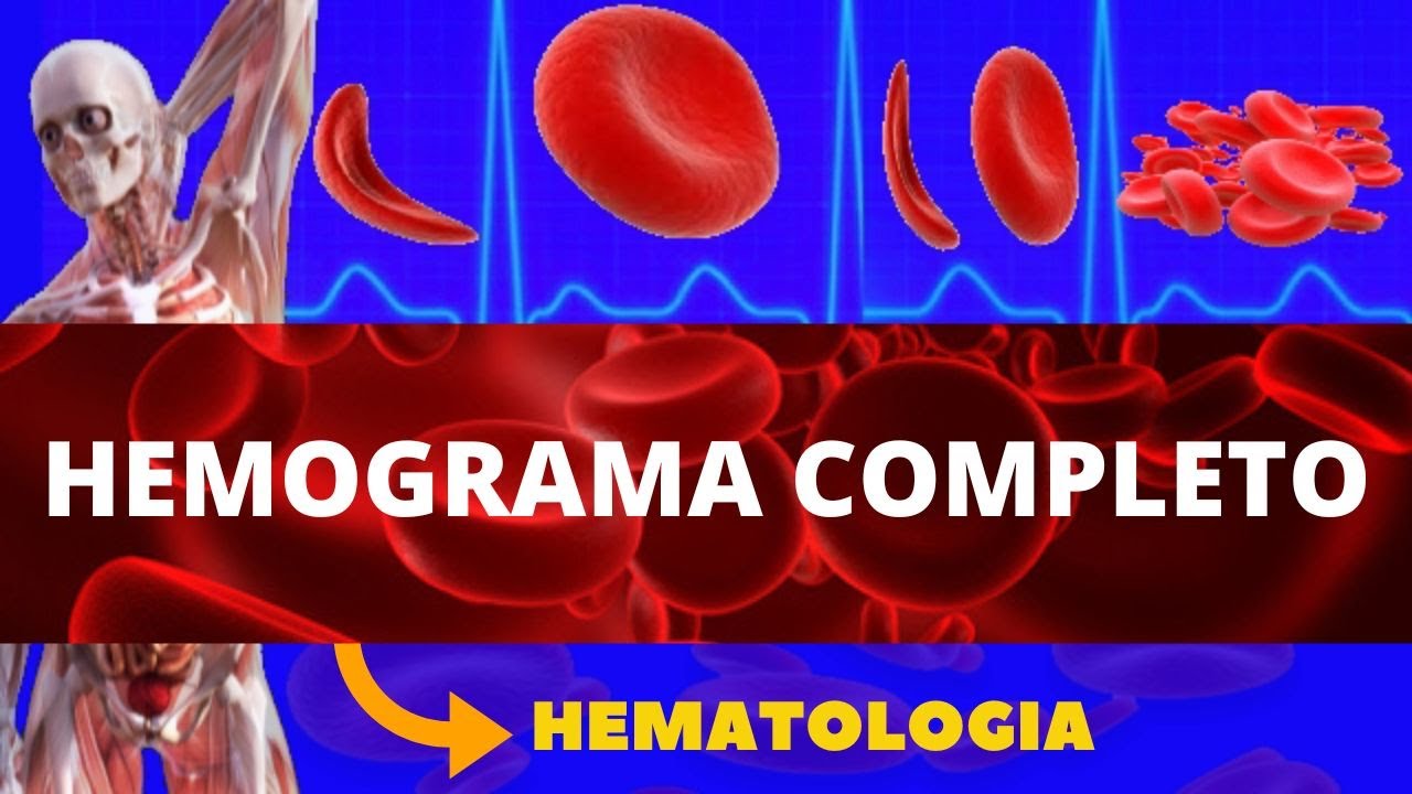 HEMOGRAMA COMPLETO (INTERPRETANDO O HEMOGRAMA) - APRENDA O HEMOGRAMA ...