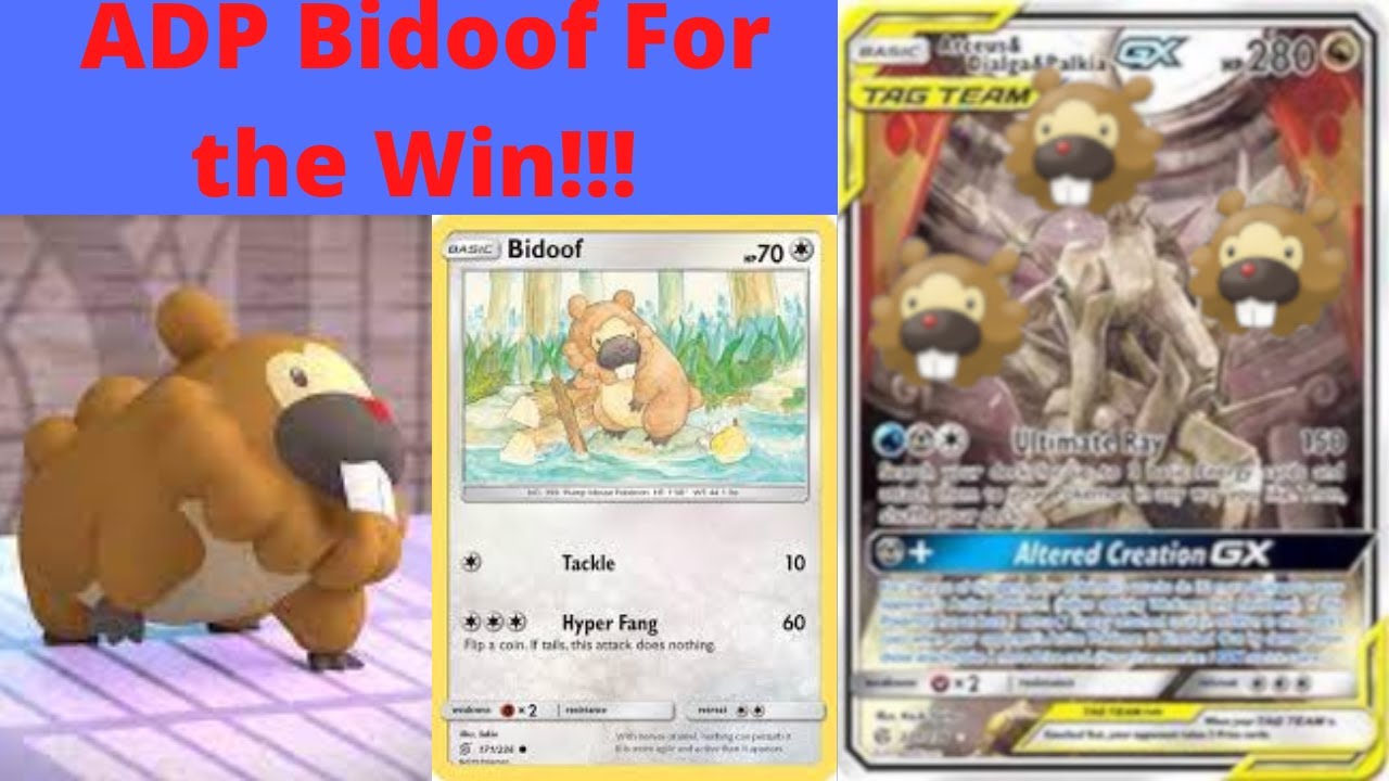 This Insane Bidoof Deck Can Destroy the Standard Format!!! (Bidoof Day ...