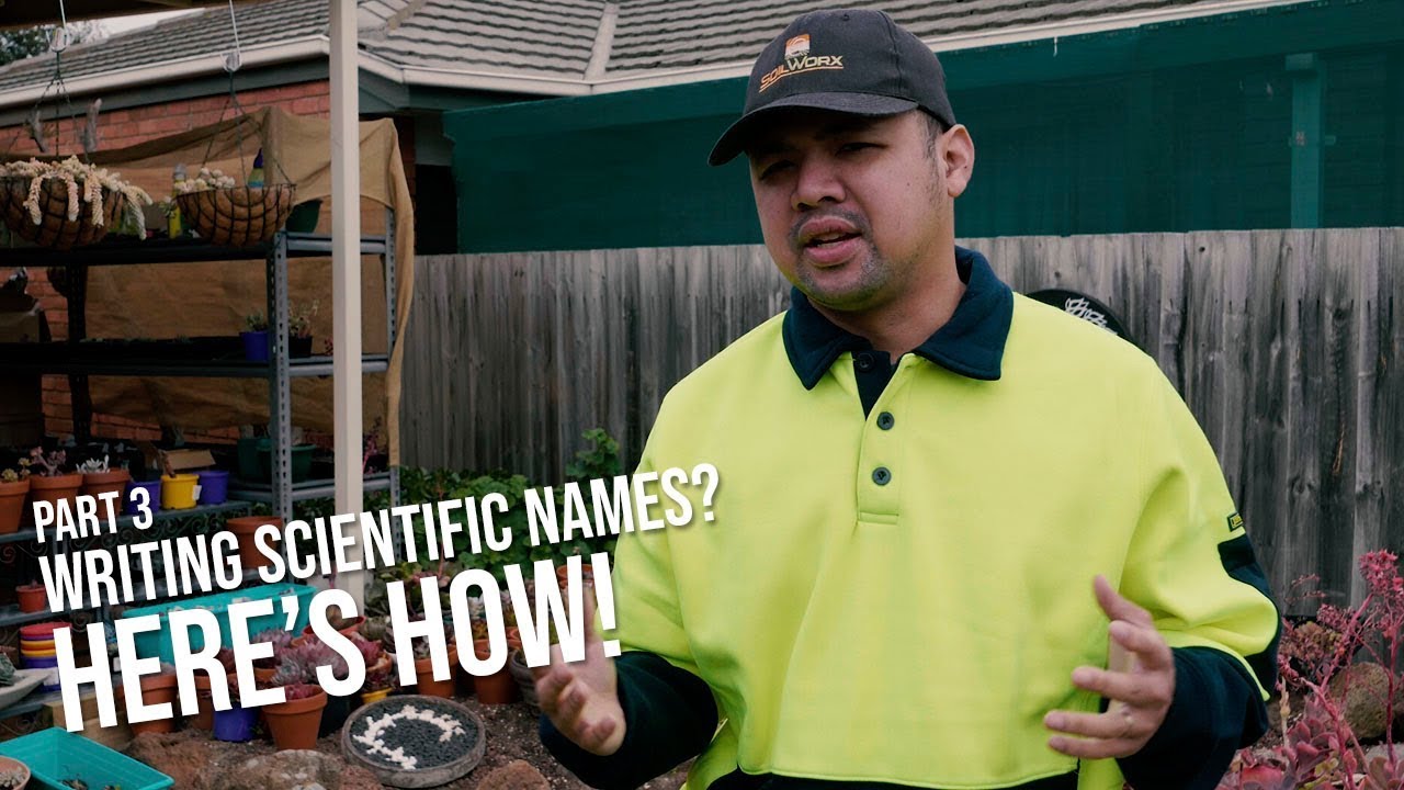 How succulent scientific names work, and other rules you need to know ...