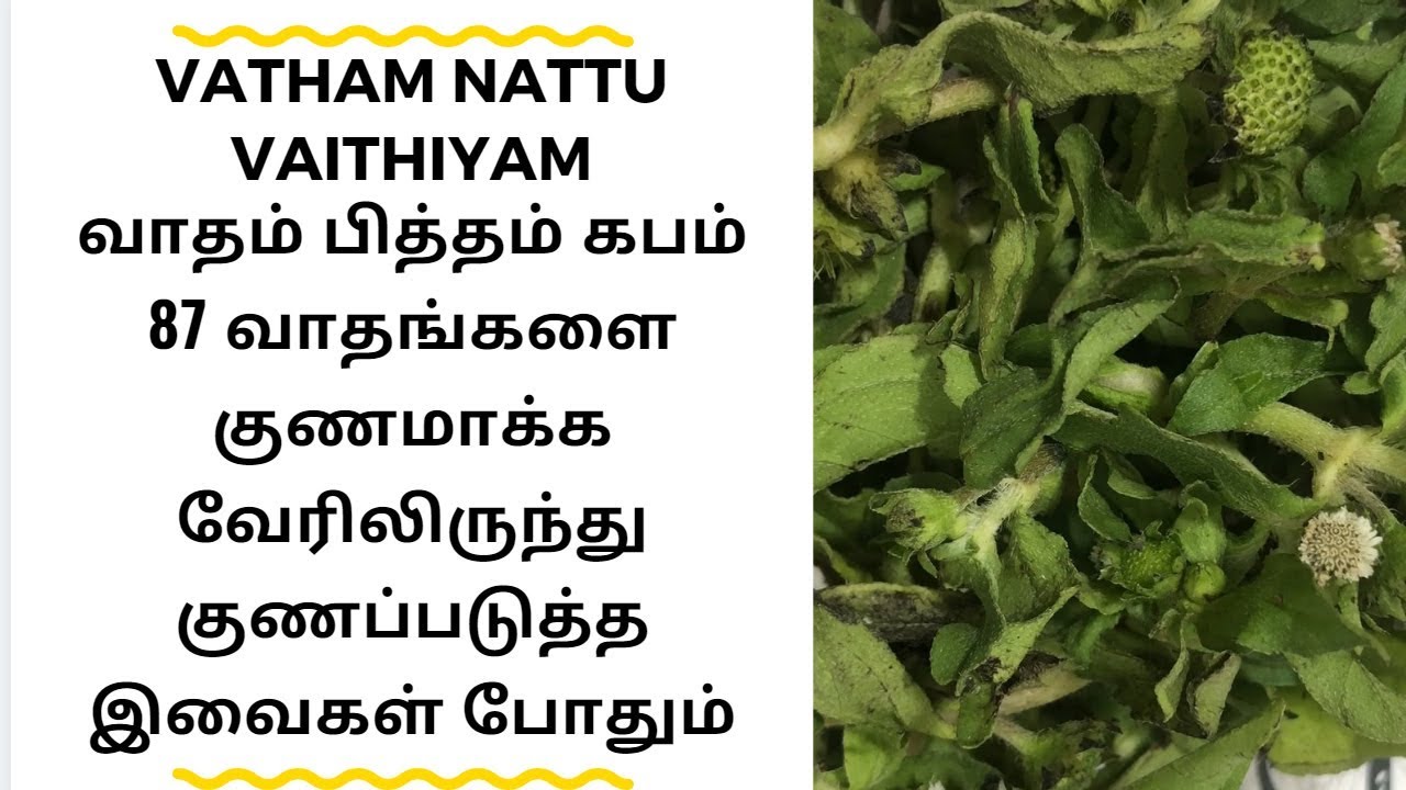 Vatham Treatment In Tamil / Vatha Noi Maruthuvam / Vatham Nattu ...