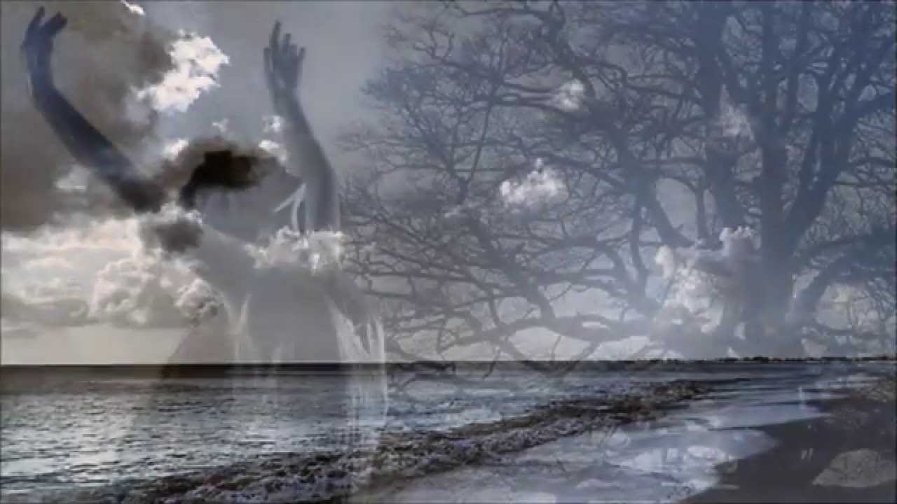 Steve Raiman - Dance With The Wind - Piano - - YouTube