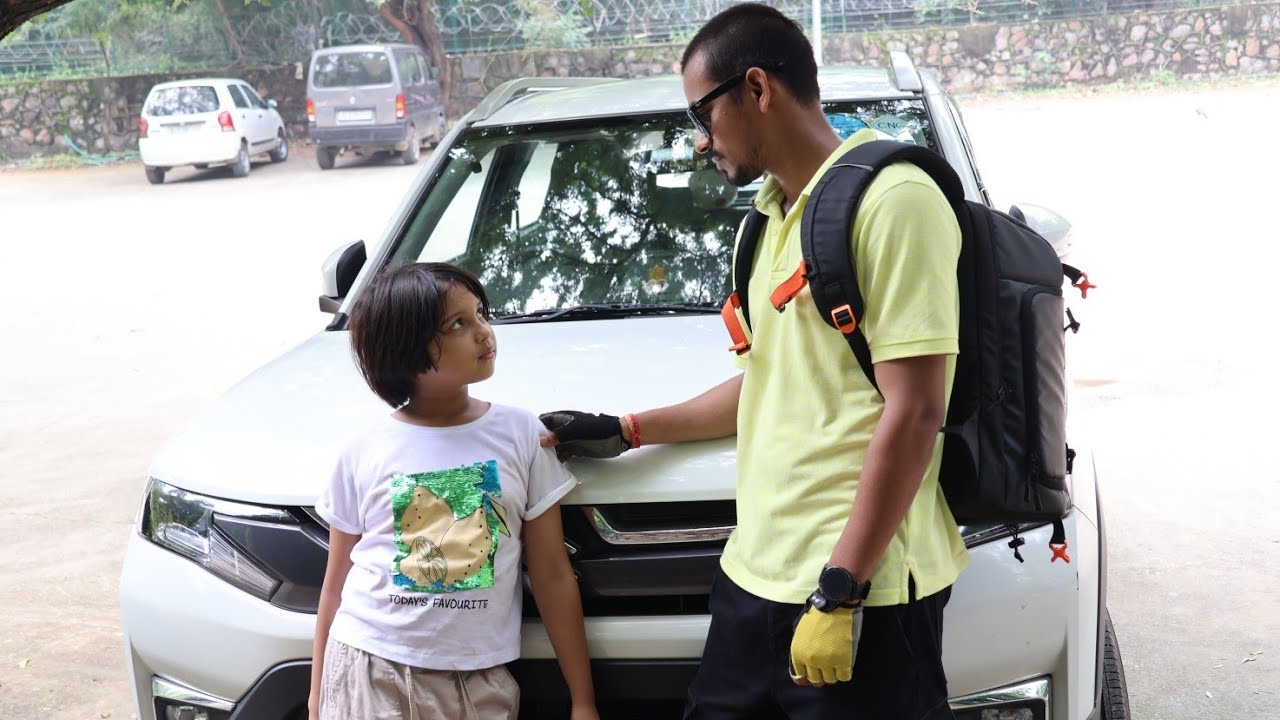 peacocks in Delhi hauj khaas (Deer ) park...! - YouTube