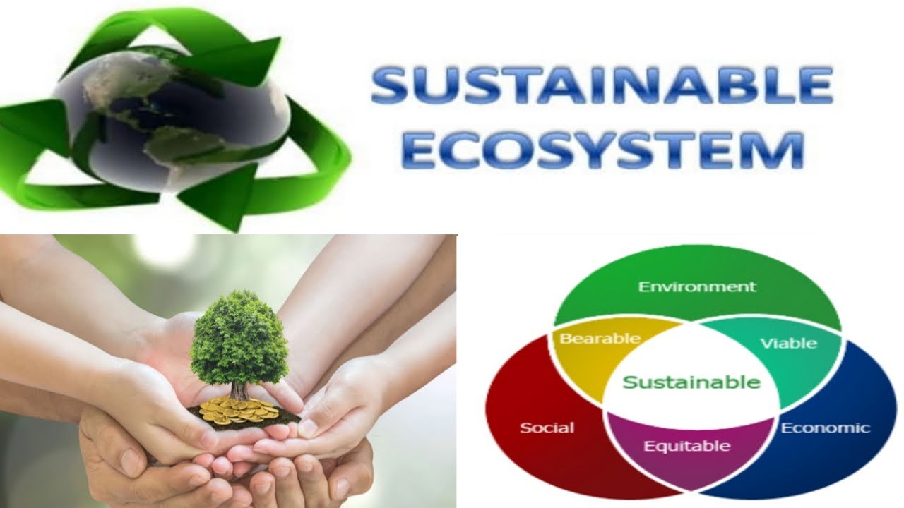 Sustainable Use of Ecosystem ( Lecture no = 16) . - YouTube