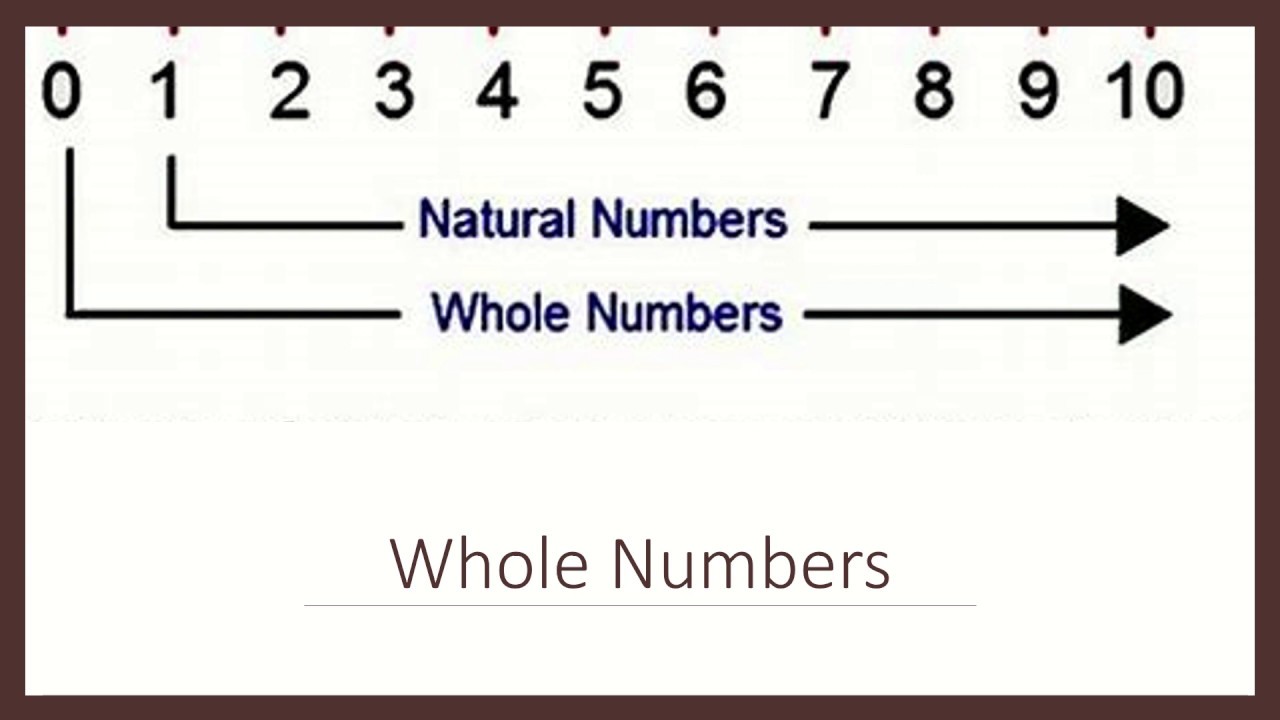Whole numbers Easy explanation - YouTube