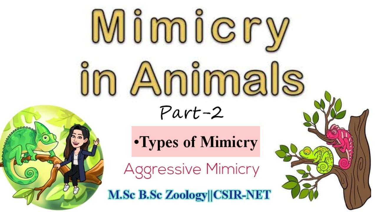 Part -2 Mimicry-Types of Mimicry(Aggressive mimicry)|M.Sc B.Sc Notes ...