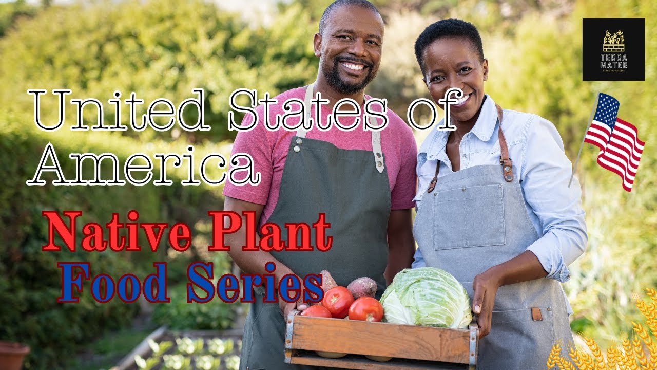 🌽 "Native Food Plant Series: USA 🌾 Discover the Traditional Crops of ...