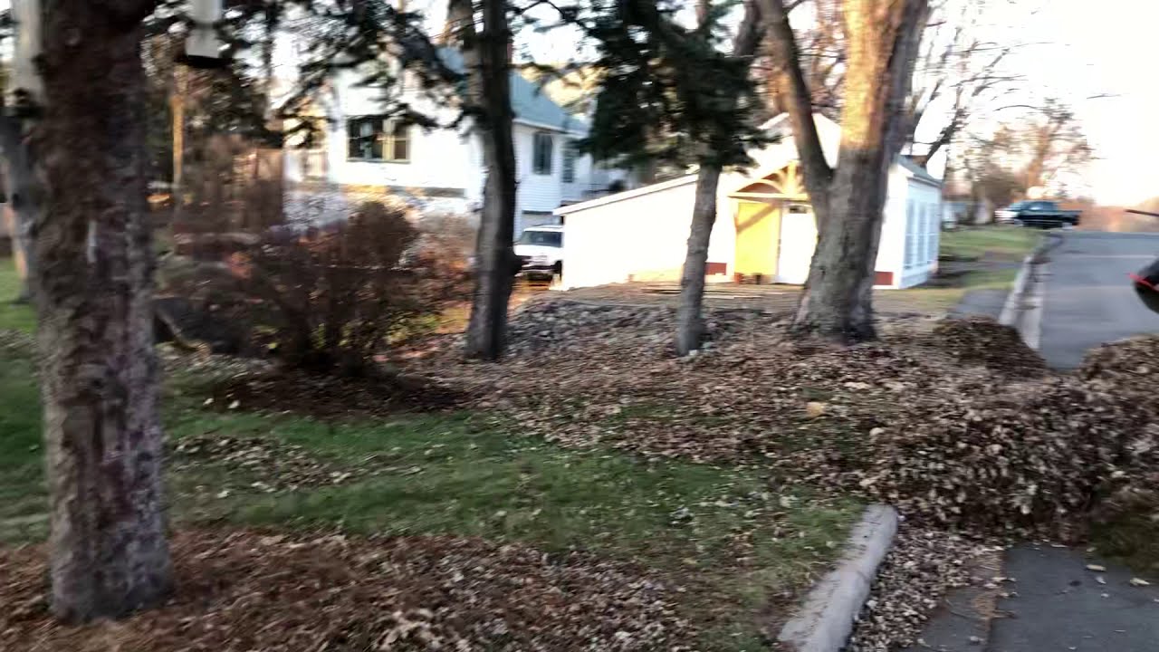 Fall Leaf Clean Up 2020! Toro Grandstand Multiforce Leaf Blower! - YouTube