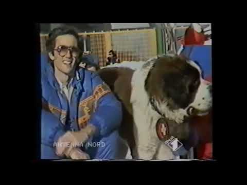 Dedicato a Riccardo Paletti 