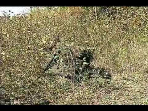 Canadian Forces - Monkey Run - YouTube
