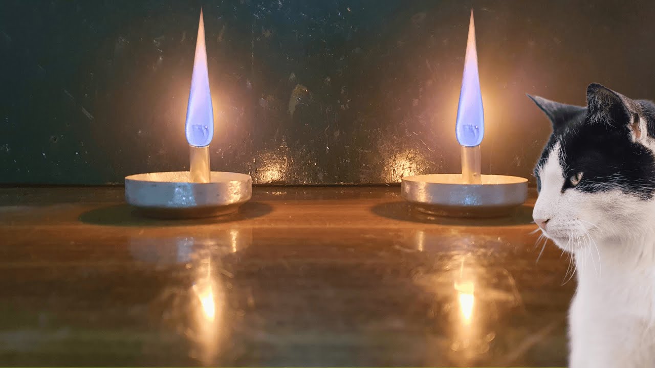 How to make candles from free energy! Vegetable oil lamp - YouTube