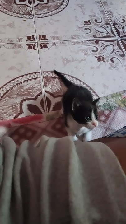 March 23, 2025 - YouTube