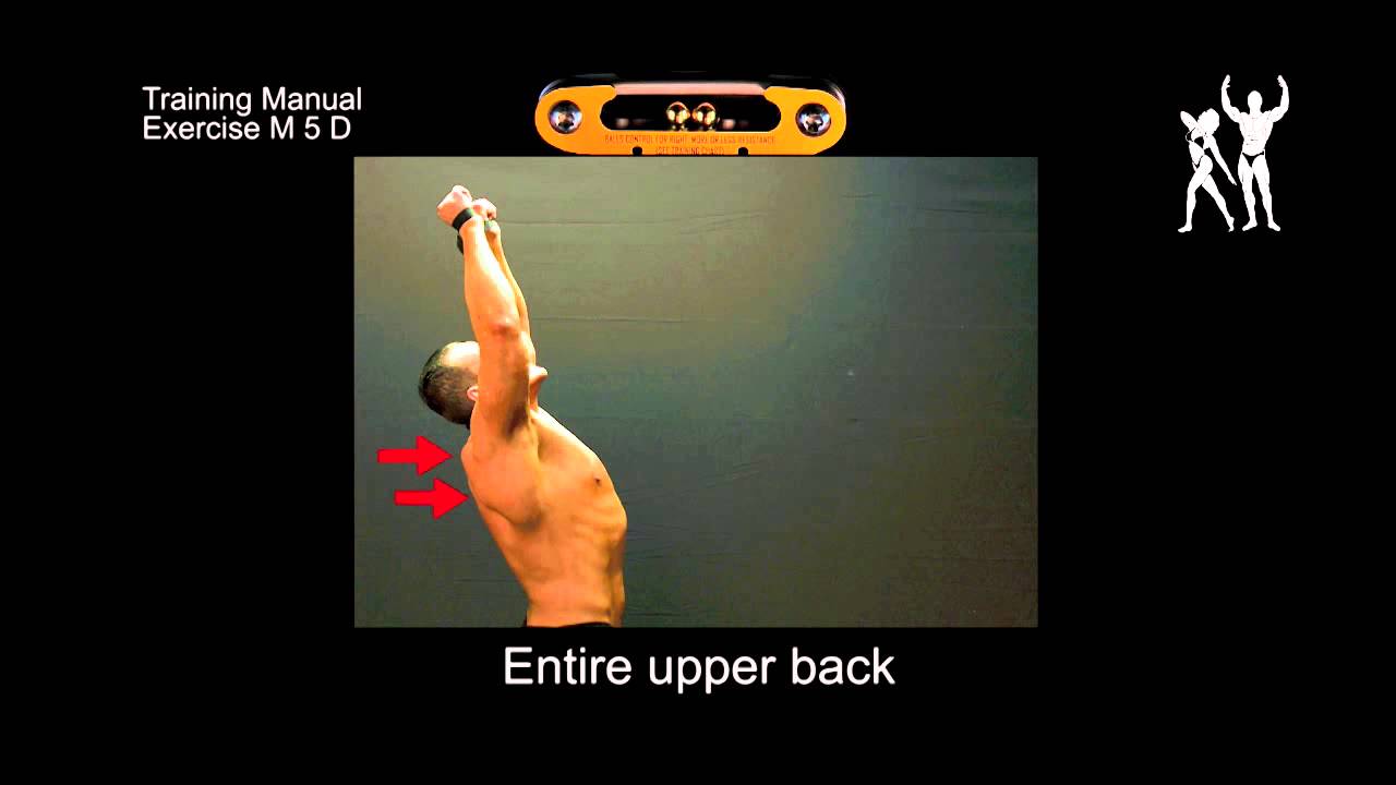 Isokinator Training - M5D exercise for toning entire upper back muscles ...