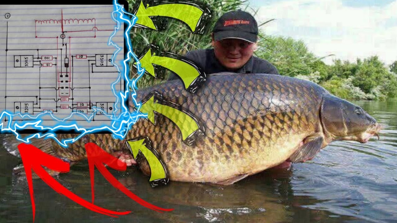 MALAKAS NA FISH STUNNER DIAGRAM FOR FISH STUNNER MOSFET TYPE - YouTube