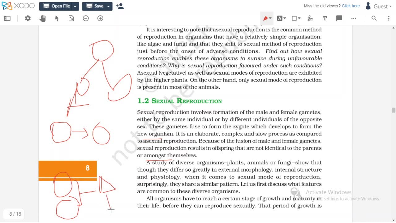 Reproduction in Organism Rapid Revision For NEET and Boards - YouTube