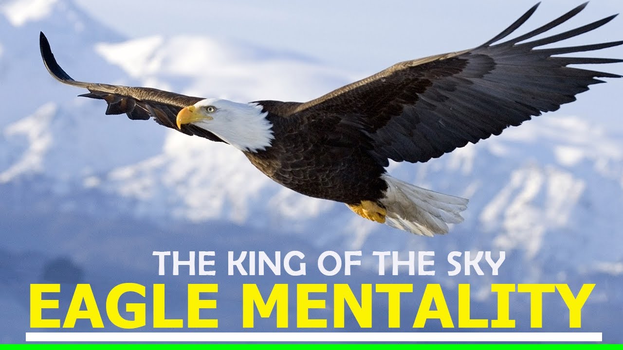The Eagle Mentality - Best Motivational Video - YouTube