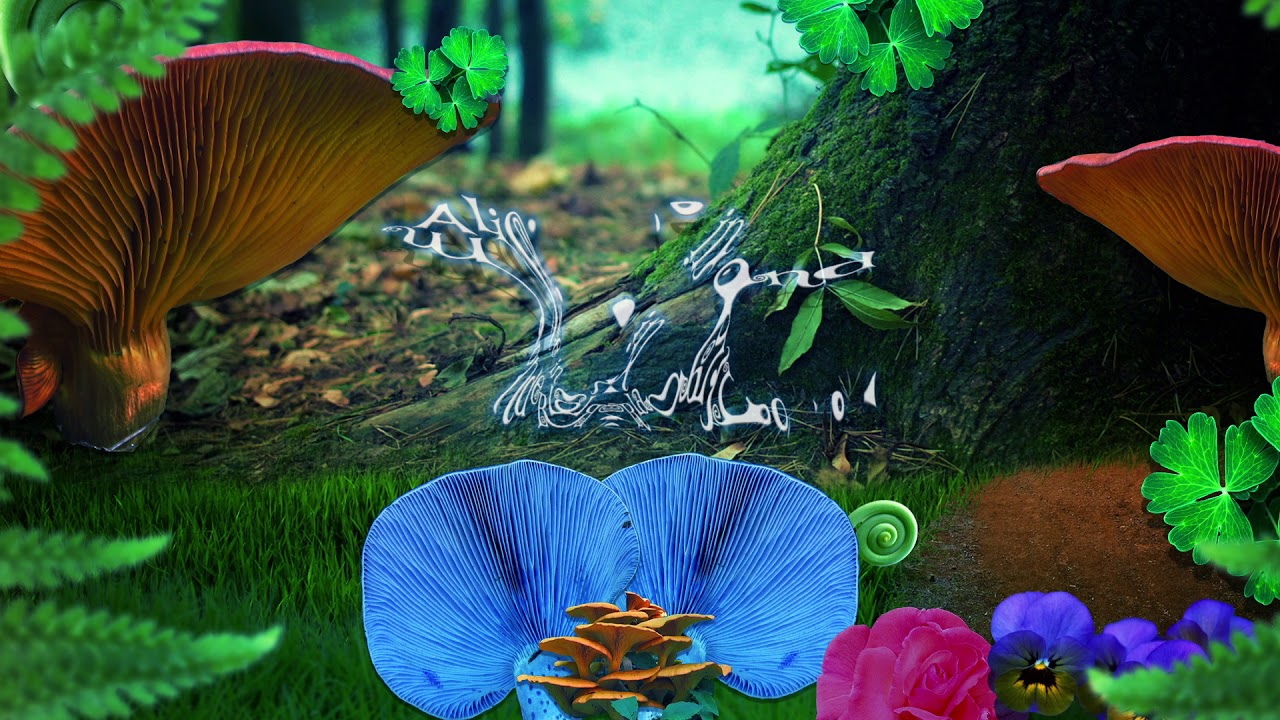 Alice in Wonderland After Effects - YouTube
