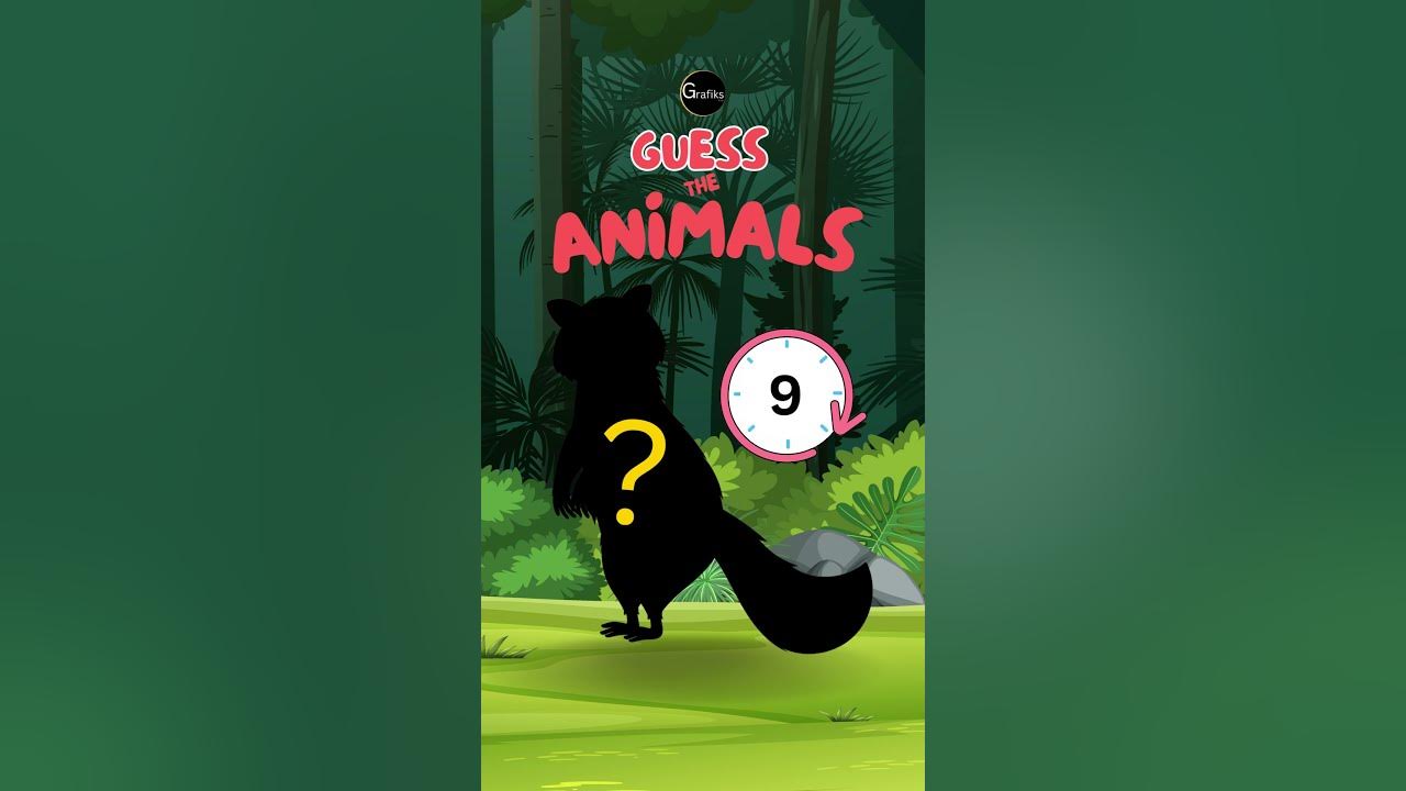 Guess the ANIMAL Quiz | Guessing Game | Guess the Animal by Shadow ...