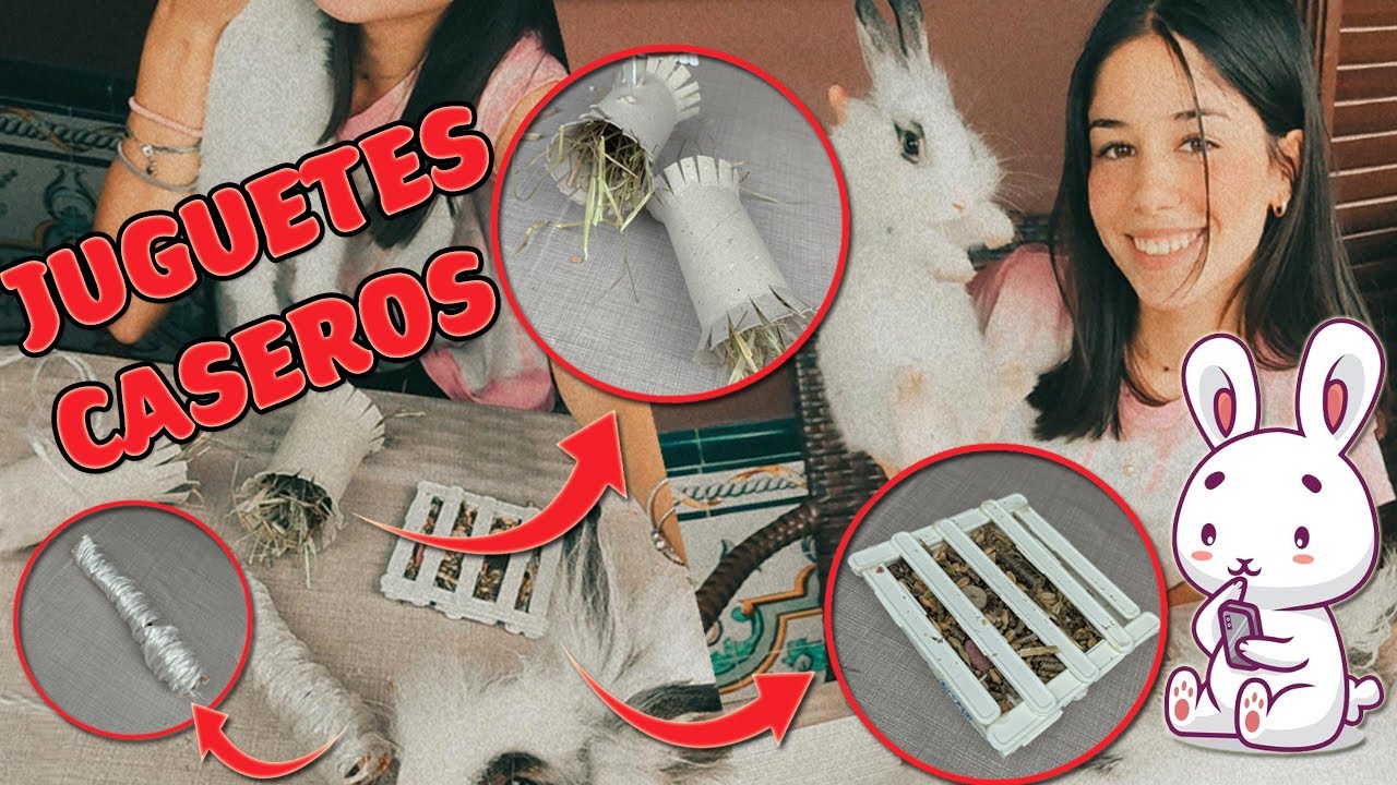 MEJORES 3 JUGUETES CASEROS para CONEJO DIY CÓMO HACERLOS en CASA | 🐰🥕 ...