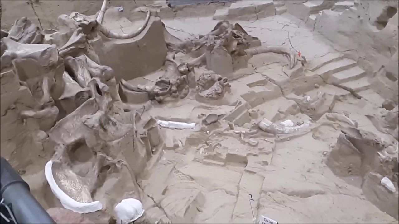 THE MAMMOTH DIG IN HOT SPRINGS SD - YouTube