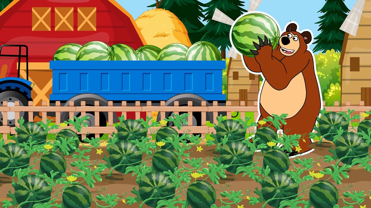 The Bear Farm: Bear Farmer Plants And Harvests Watermelons In The Field ...