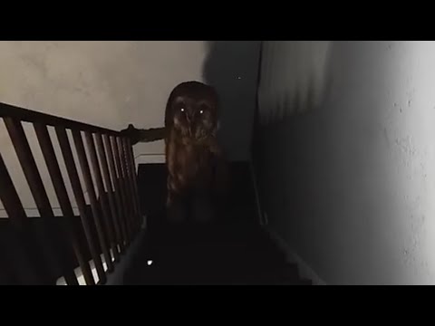 Live stream GHOST 👻 Reaction video funny sound 😀😀😀😀 - YouTube
