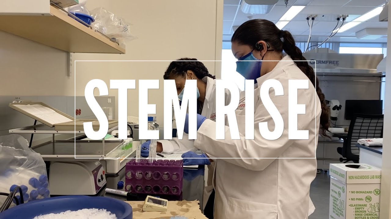 teachHOUSTON's STEM RISE Program - YouTube