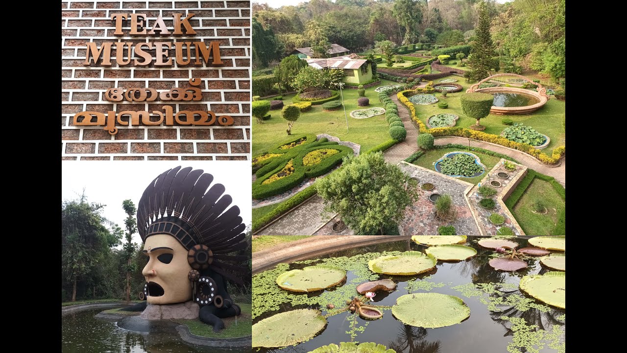 Teak Museum at Nilambur, Malappuram - YouTube