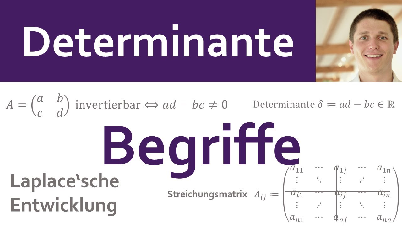 📘 Determinante 01 Begriffe Motivation Streichungsmatrix 2614