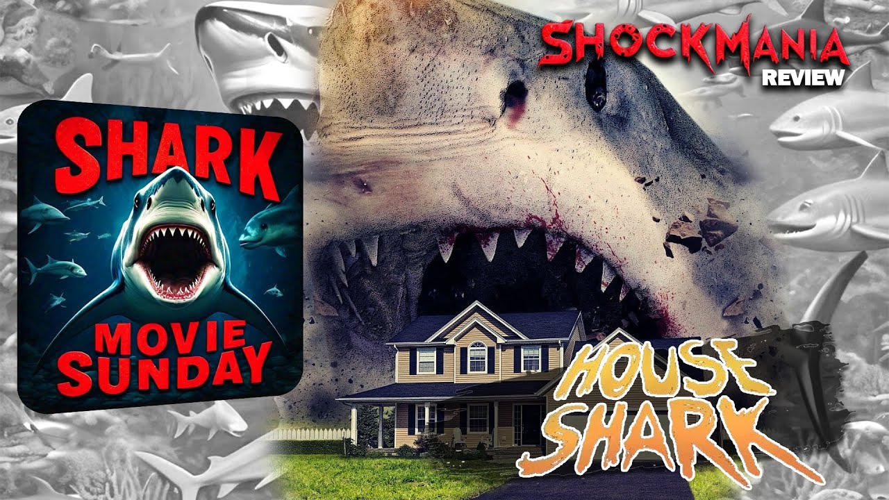 HOUSE SHARK (2017) Shark Movie Review Sunday 🦈🦈🦈 - YouTube
