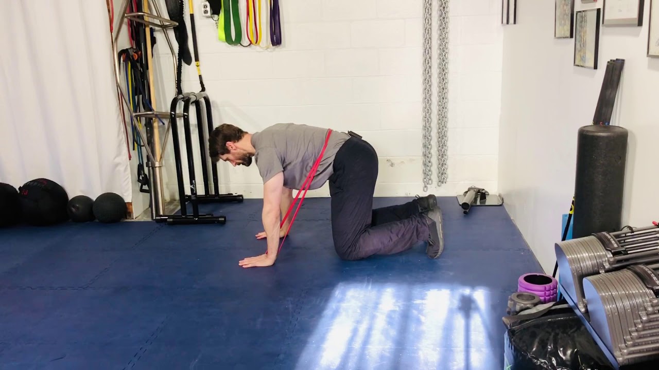 Band Cat/Camel at Lumbopelvic Joint - YouTube