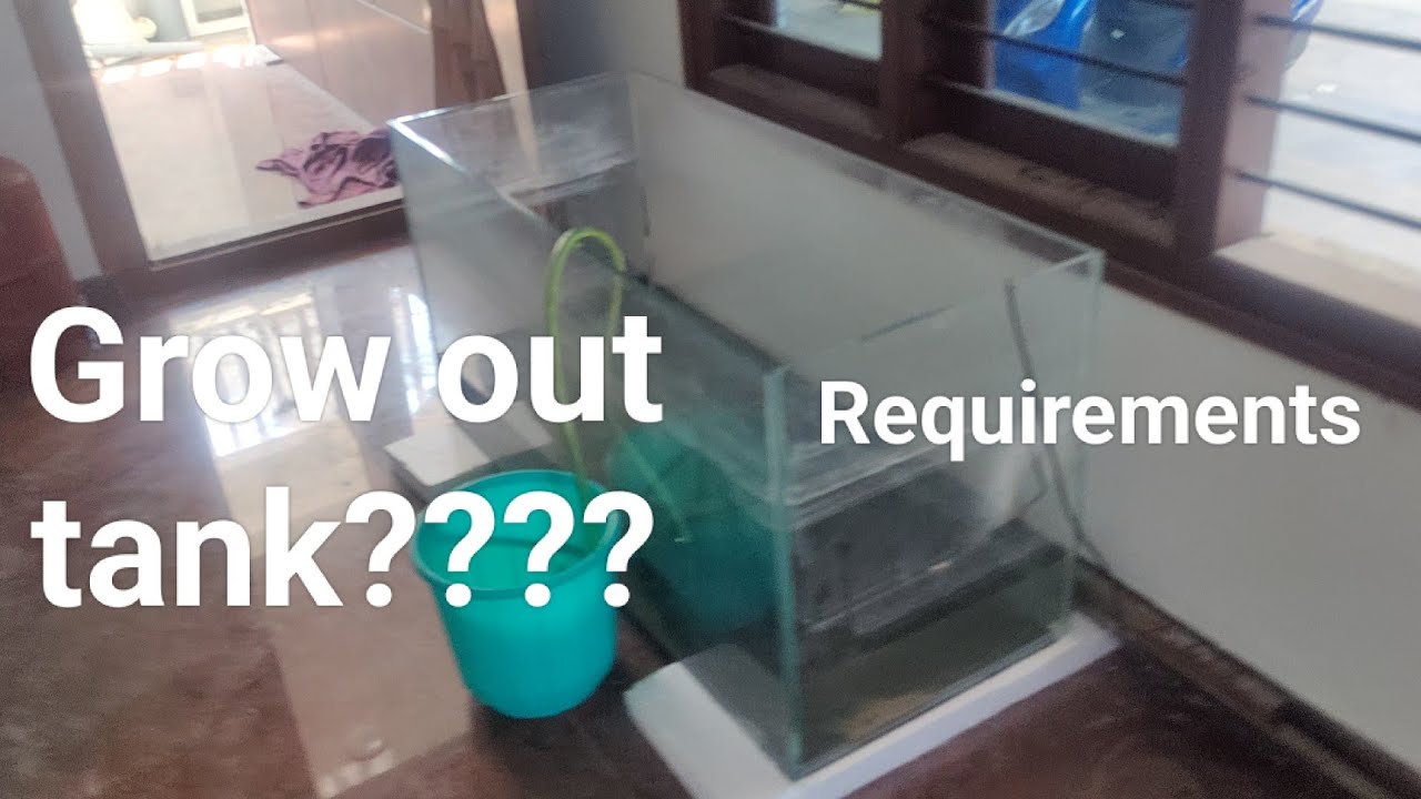 How to build a grow out tank? - YouTube