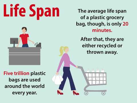 The Life Cycle of the Plastic Grocery Bag - YouTube
