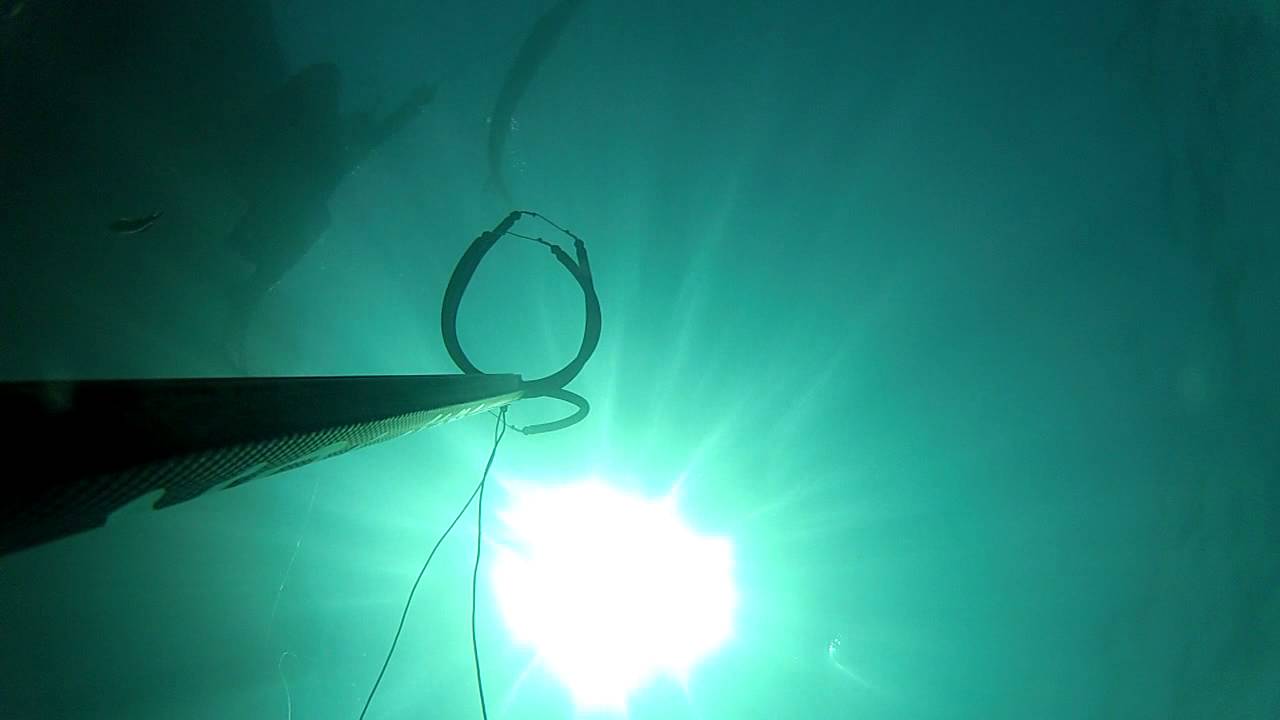 spearfishing λουτσος 04 08 12.mpg - YouTube