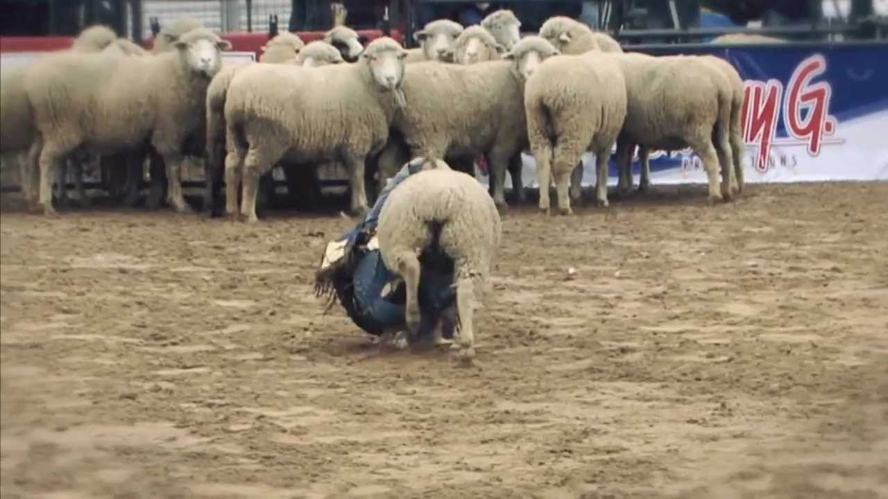 Math the Band - "Get Real" Music Video - YouTube